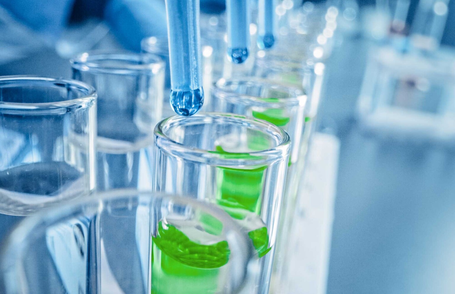 Rephine | Pharma GMP Services