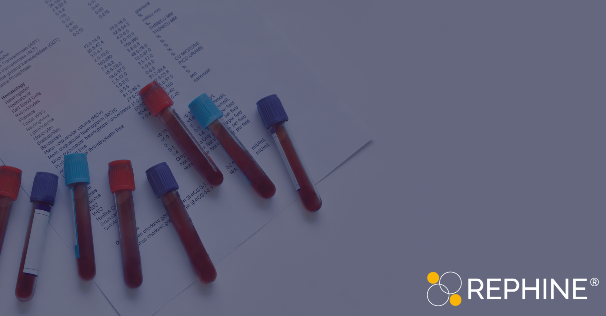 2023 In-Vitro Diagnostics Products Technical File Update - Rephine