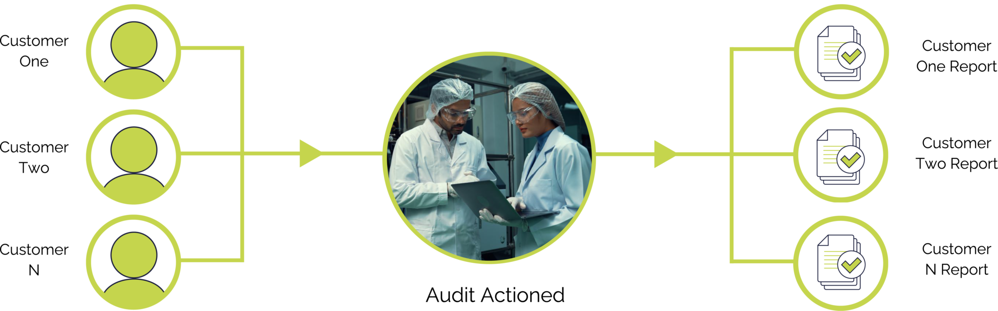 Third Party Audits - Rephine