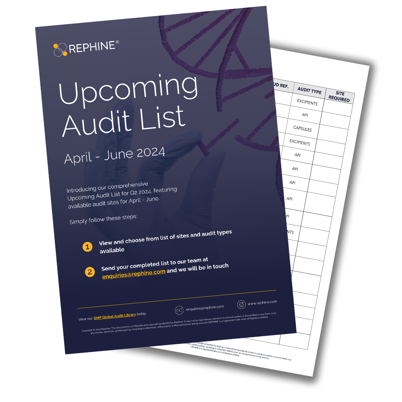 2024 Upcoming Audit Plan - Rephine